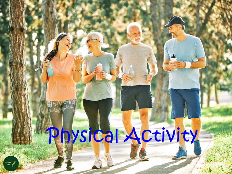 Eternal Fitness: Embracing Physical Activity Throughout Your Life ...